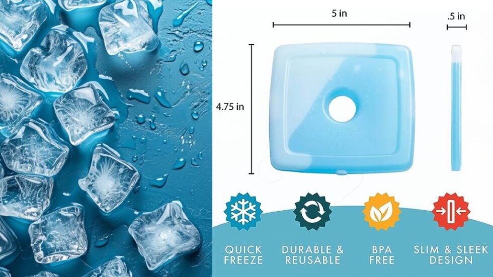 7 Best Ice Packs for Coolers in 2025 | Picnic Makers