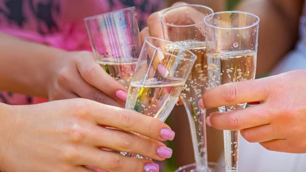 5 Best Plastic Champagne Flutes for Your Party | Picnic Makers