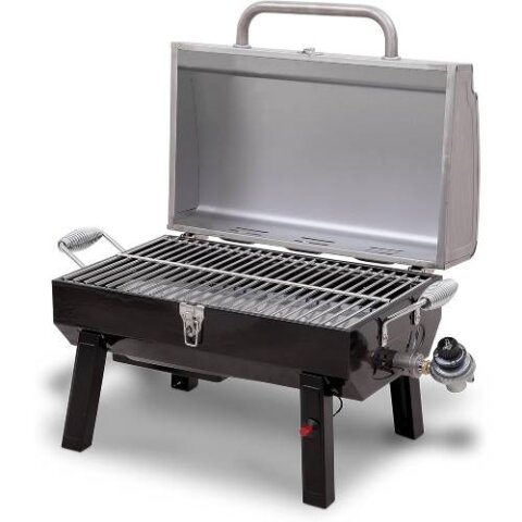 5 Best Small Propane Grills for Outdoor Fun | Picnic Makers