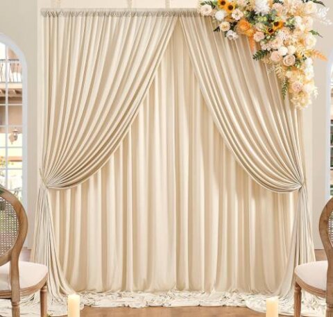 Best Photo Backdrop Stands: Top Picks of 2025 | Picnic Makers