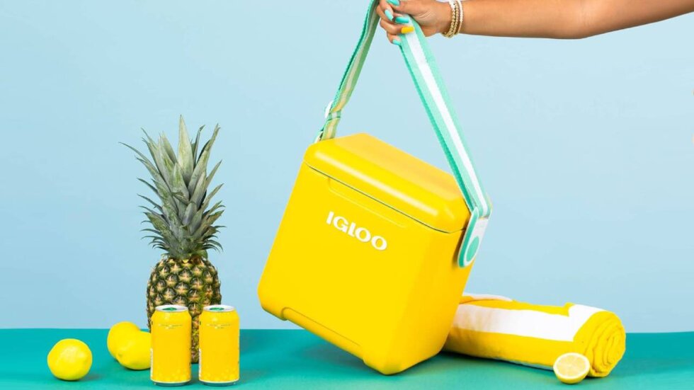 Best Vintage Coolers: 6 Retro Picks in 2024 | Picnic Makers