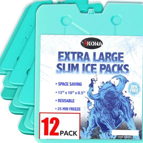Best Ice Packs for Coolers: 7 Tested Winners | Picnic Makers
