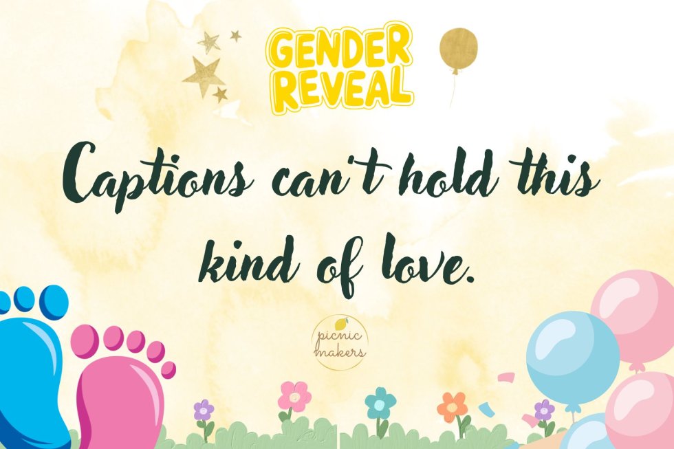 150 Heartfelt Gender Reveal Quotes | Picnic Makers