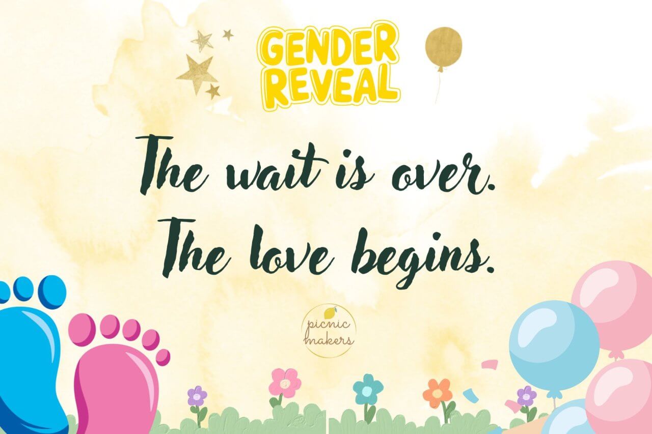 150 Heartfelt Gender Reveal Quotes | Picnic Makers