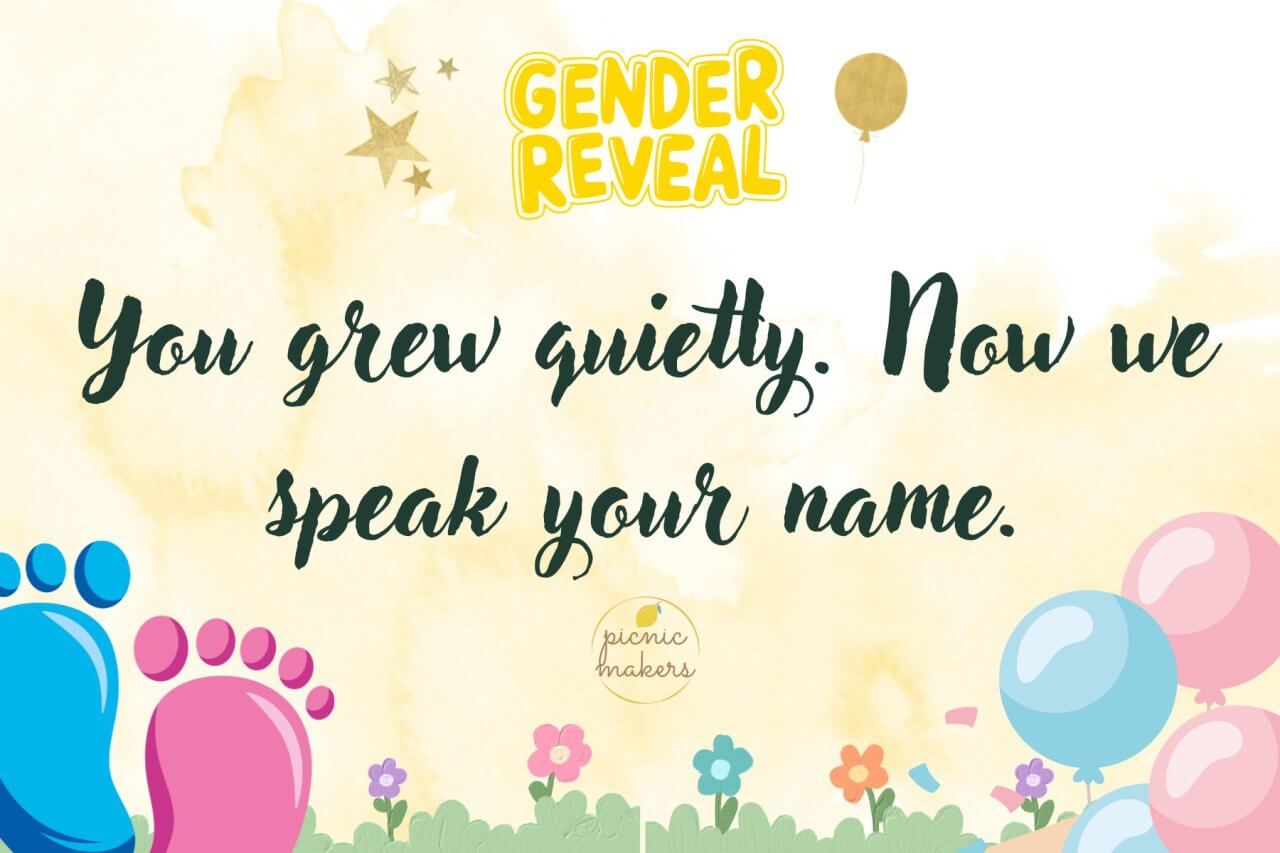 150 Heartfelt Gender Reveal Quotes | Picnic Makers