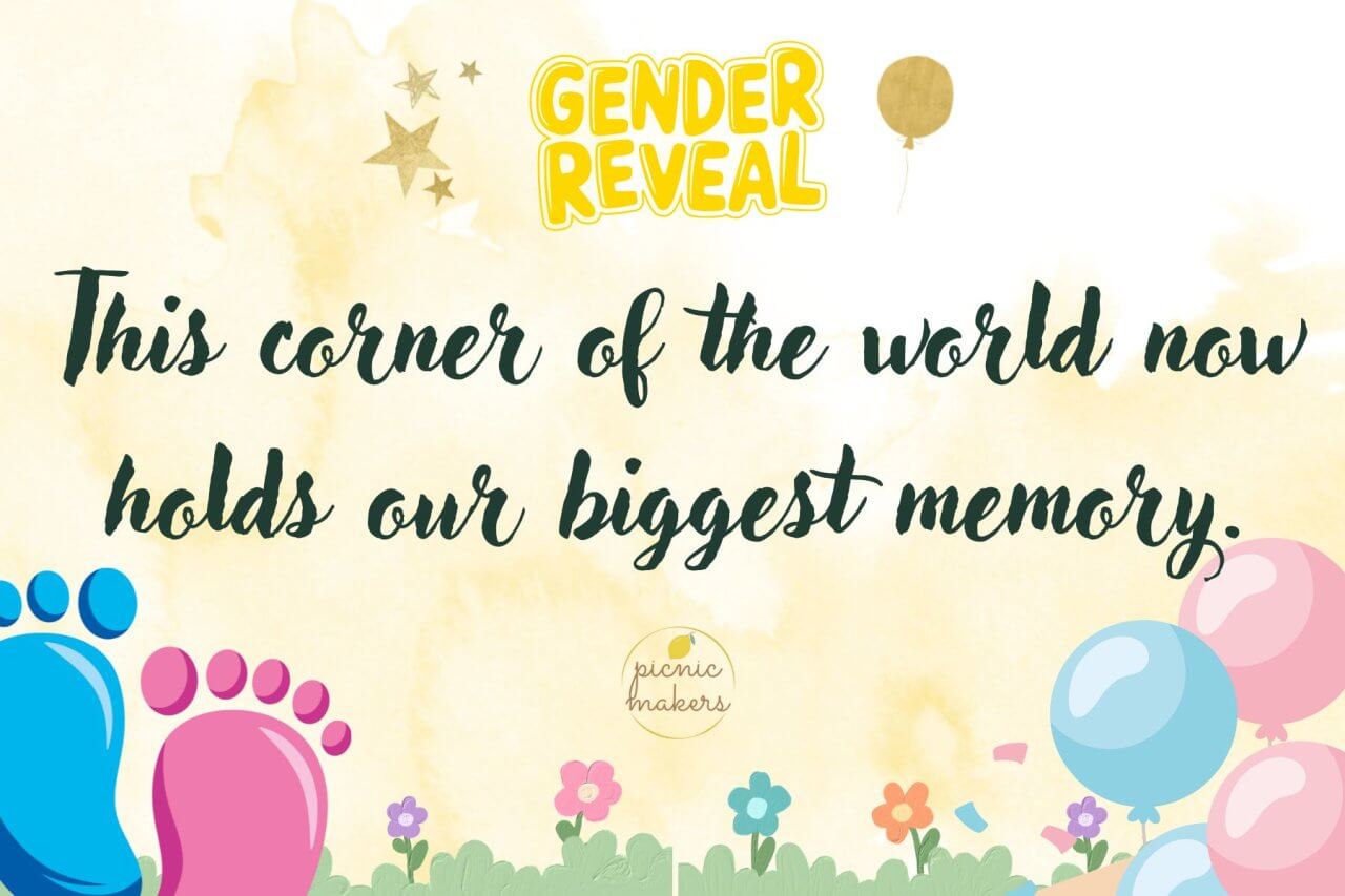 150 Heartfelt Gender Reveal Quotes | Picnic Makers