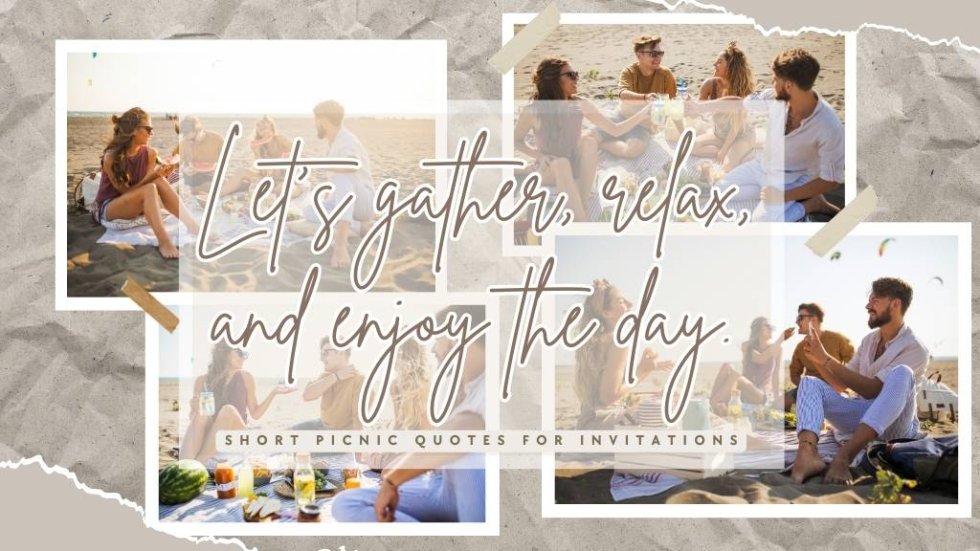 99+1 Picnic Quotes to Inspire Your Next Outdoor Experience