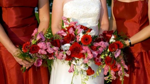 Wedding Party Roles Explained: Who Does What | Picnic Makers